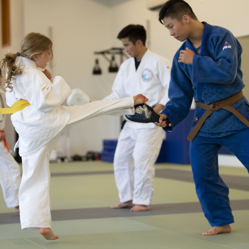 Online Courses - Pacific Rim Martial Arts Academy